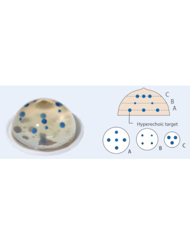 Breast biopsy training phantoms transparent and opaque